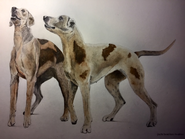 10 Questions with artist Paula Anastasi-Buehler (Art Spotlight ...