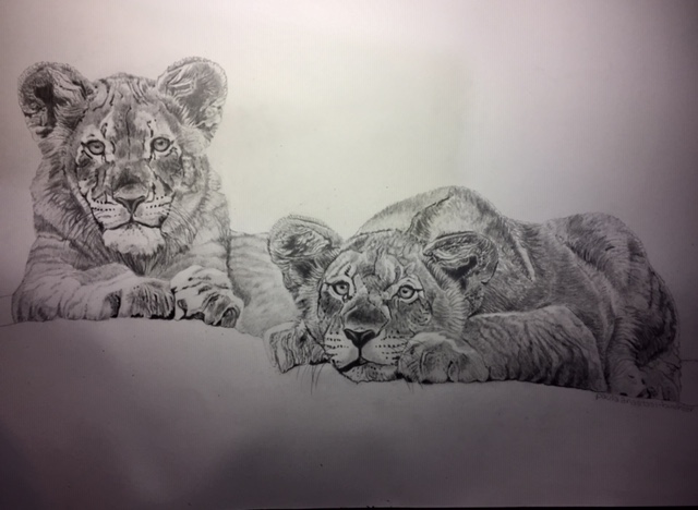 10 Questions with artist Paula Anastasi-Buehler (Art Spotlight ...