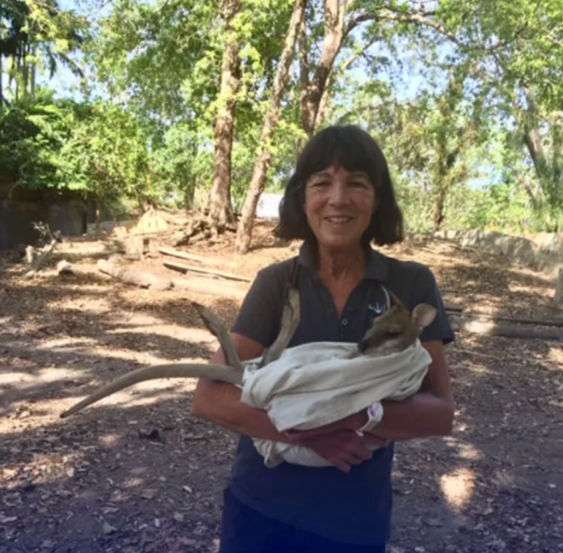 10 Questions with artist Paula Anastasi-Buehler (Art Spotlight ...